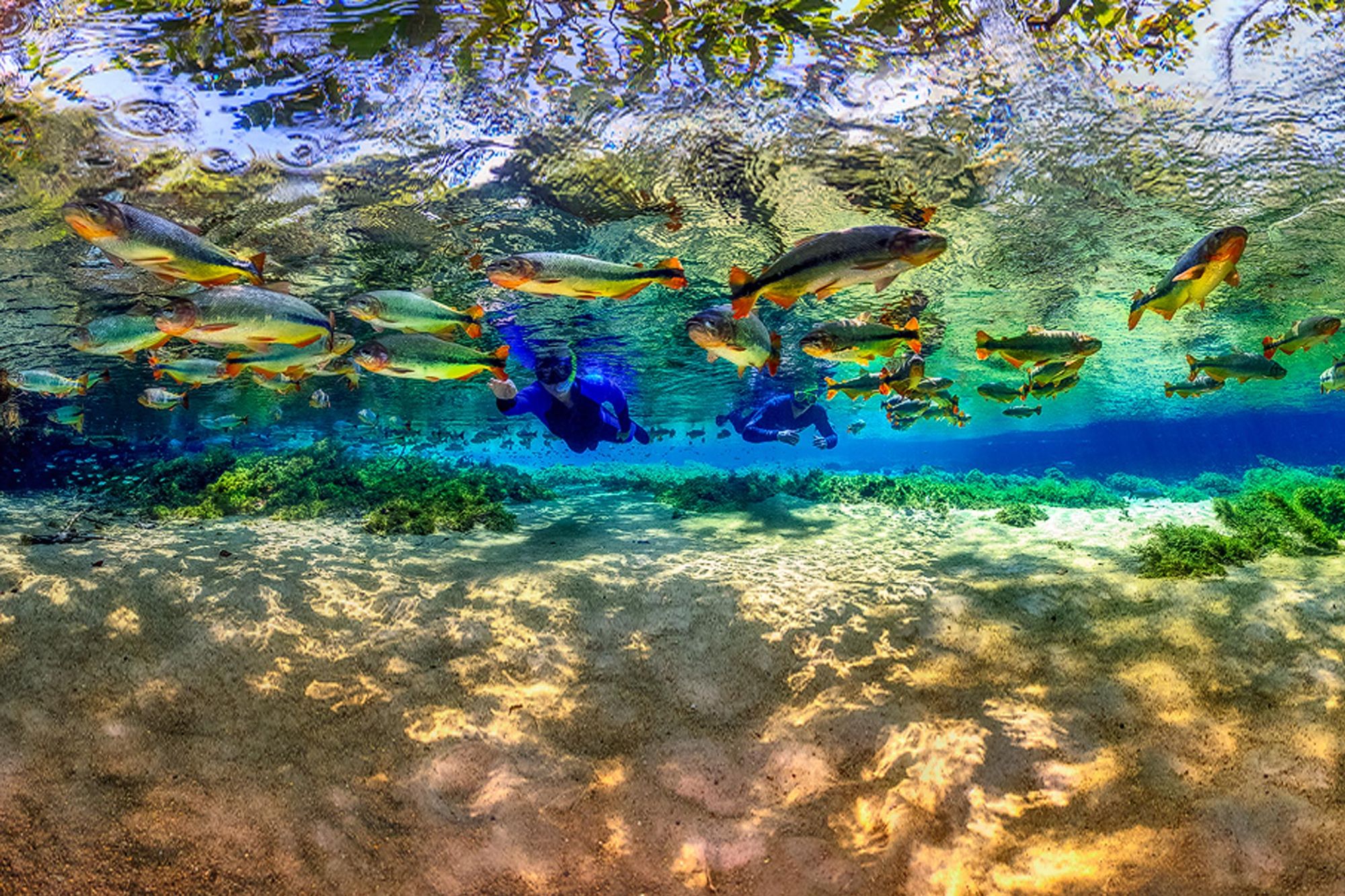 Série Top lugares bons e baratos para viajar em 2023 - parte 3: Bonito ...